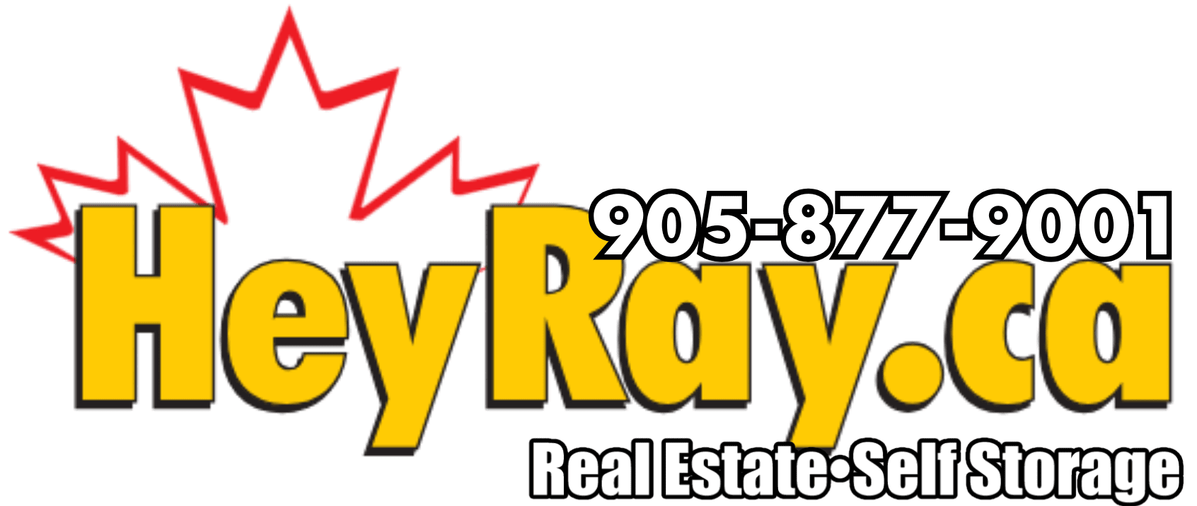 HeyRay - The Face of Real Estate in Halton